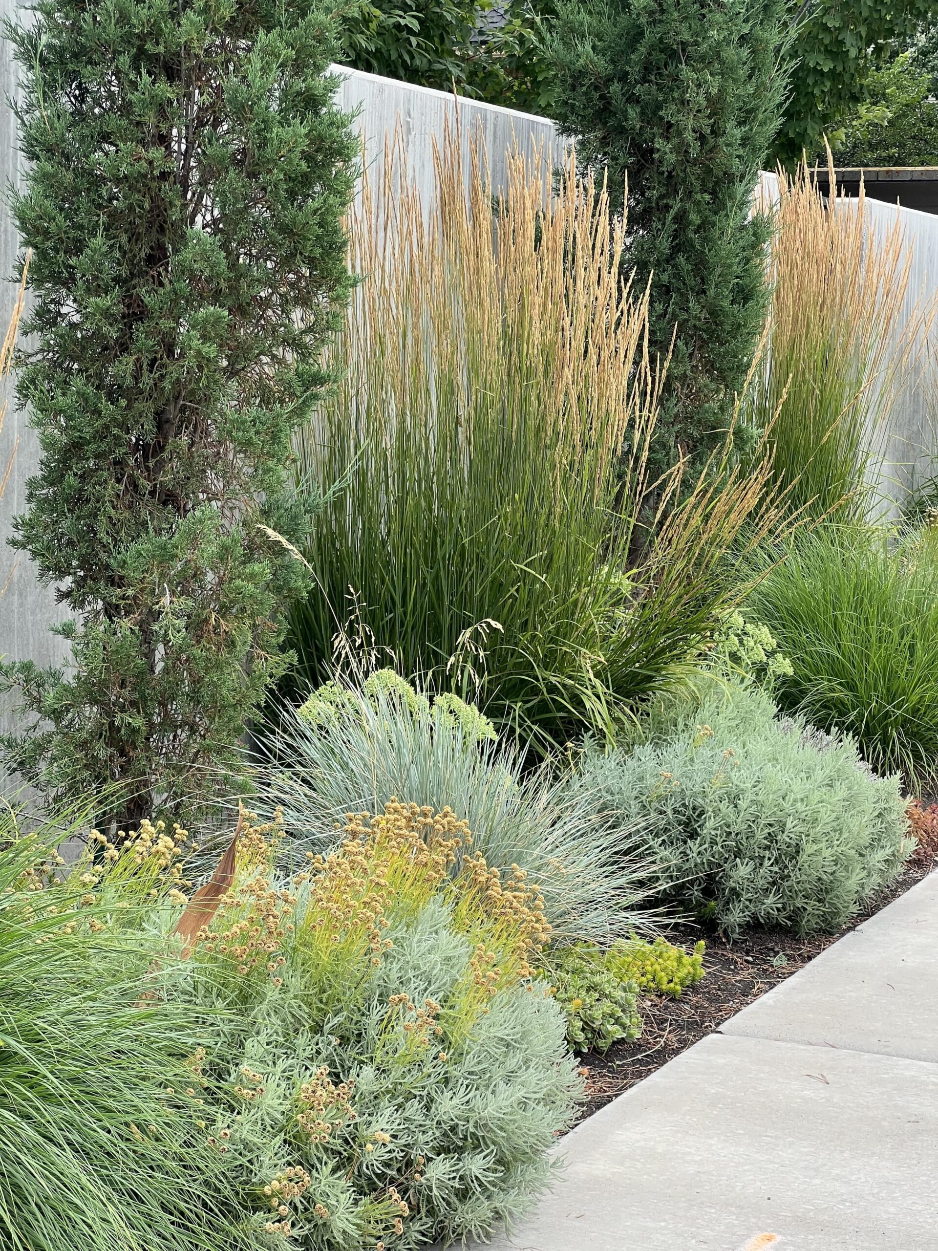 3D Landscape Design Services | Visualize Before Build